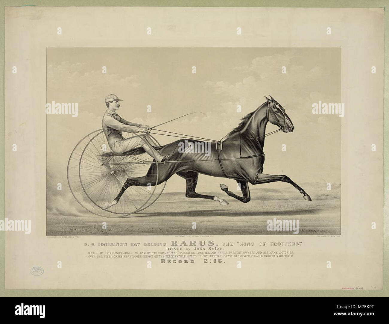 R.B. Conkling's bay gelding Rarus, known as the 'King of Trotters,' is ...