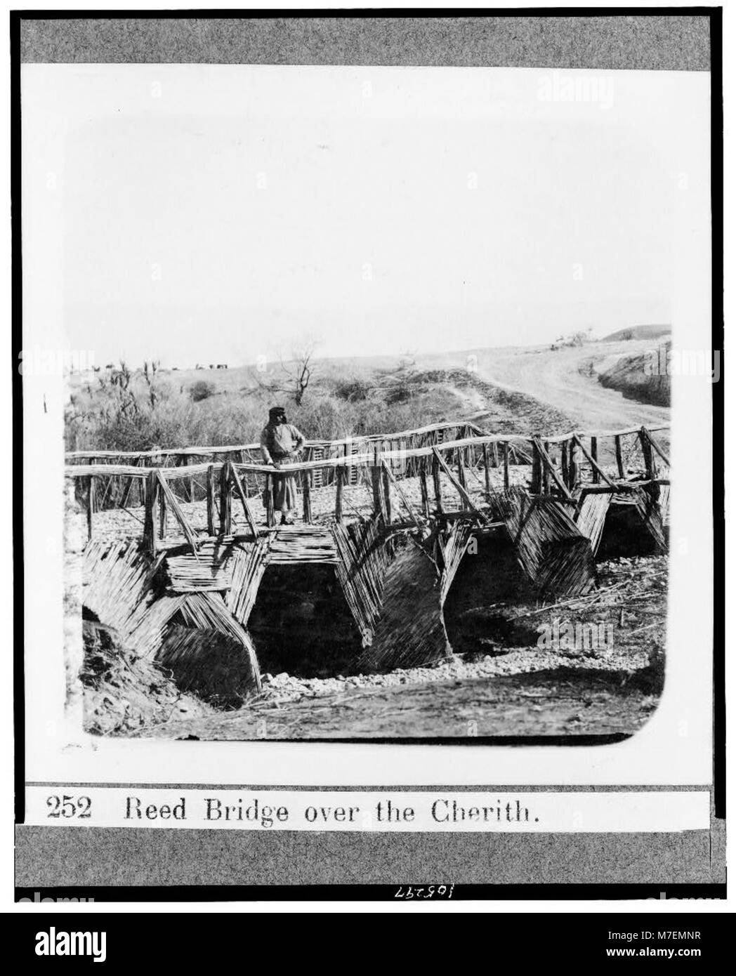 A photograph of the Reed Bridge over the Cherith, showcasing the ...