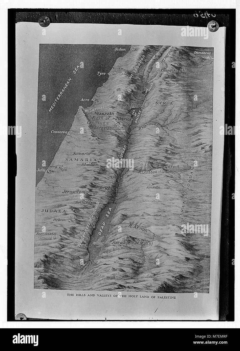 A relief map of Palestine, depicting the topography and geographical ...