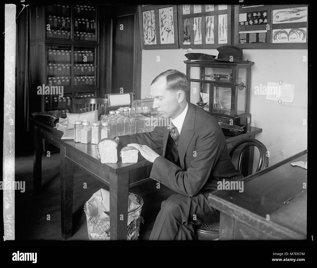 A photograph documenting a rice experiment conducted by the Department ...