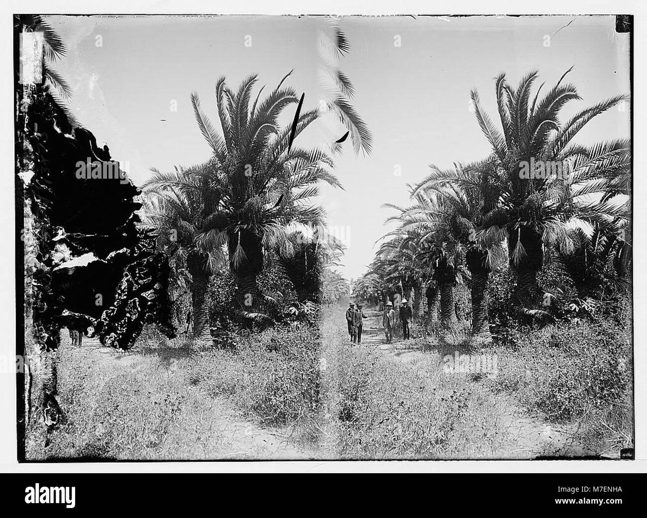 Richon le zion hi-res stock photography and images - Alamy