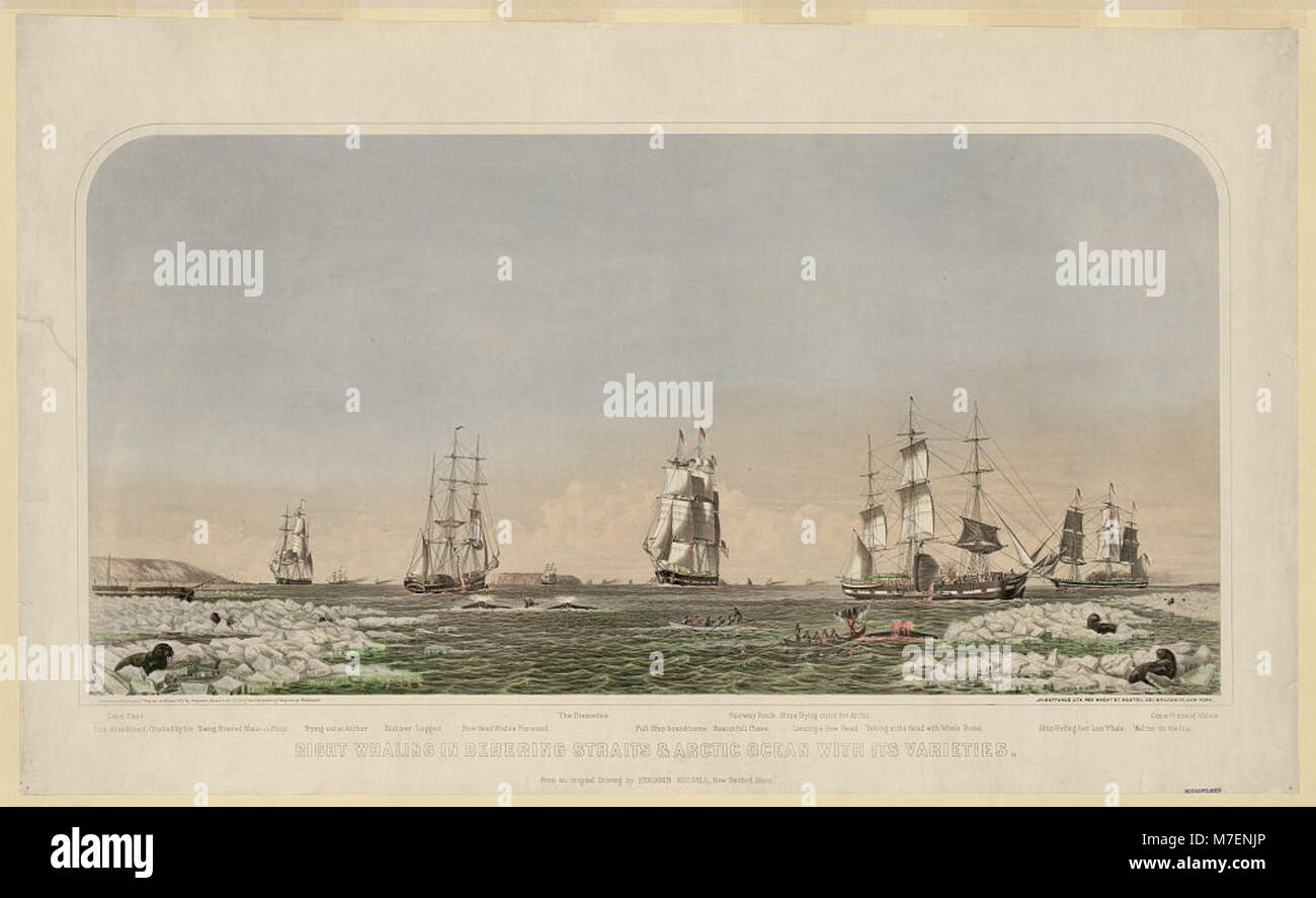 This photograph documents right whaling in the Bering Straits and ...