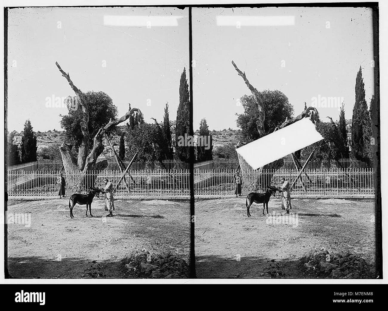 A historic image depicting the road to Hebron, including Mar Saba and ...