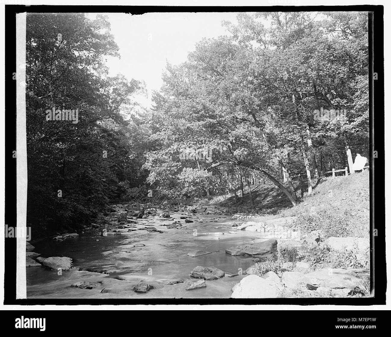 This photograph showcases Rock Creek Park in Washington, D.C., a large ...