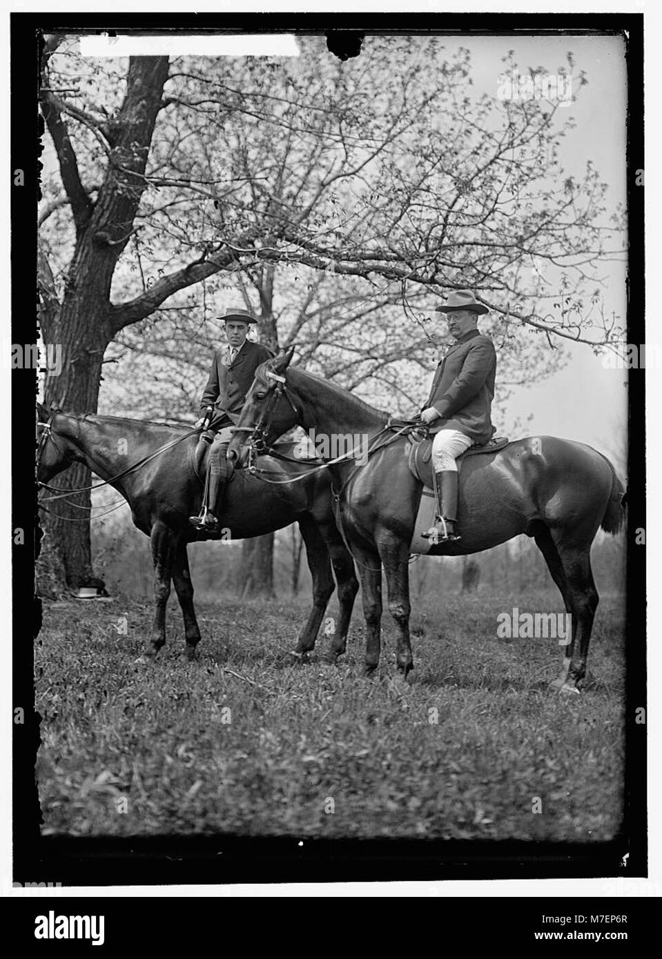 This photograph shows Theodore Roosevelt, the 26th President of the ...