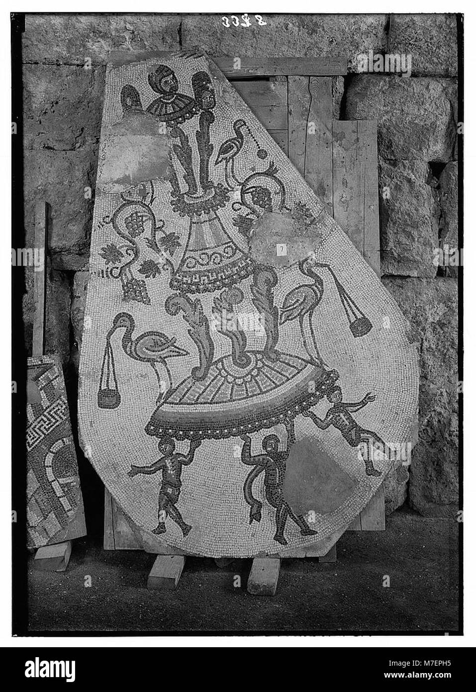 A section of the Jerash mosaic from the ruins of Gerasa, illustrating ...