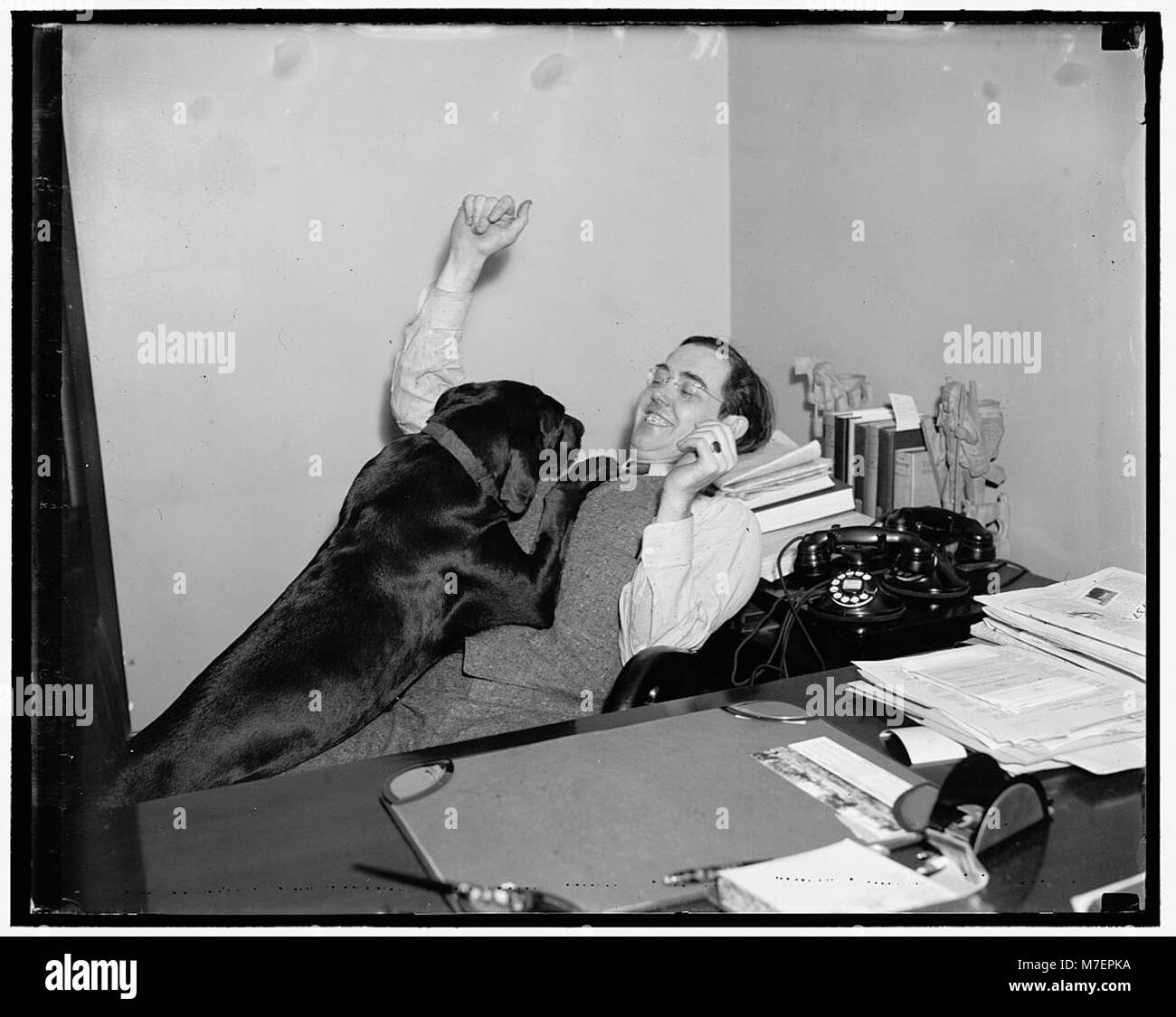 Dog at desk Black and White Stock Photos & Images - Alamy