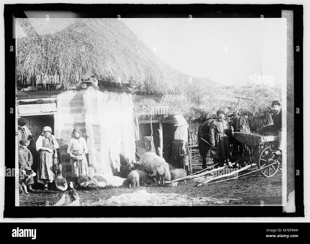 A typical Russian village scene, capturing traditional wooden houses ...