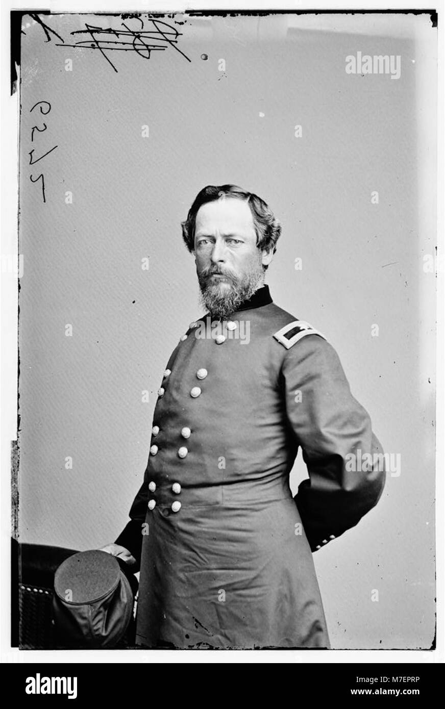 Zook hi-res stock photography and images - Alamy