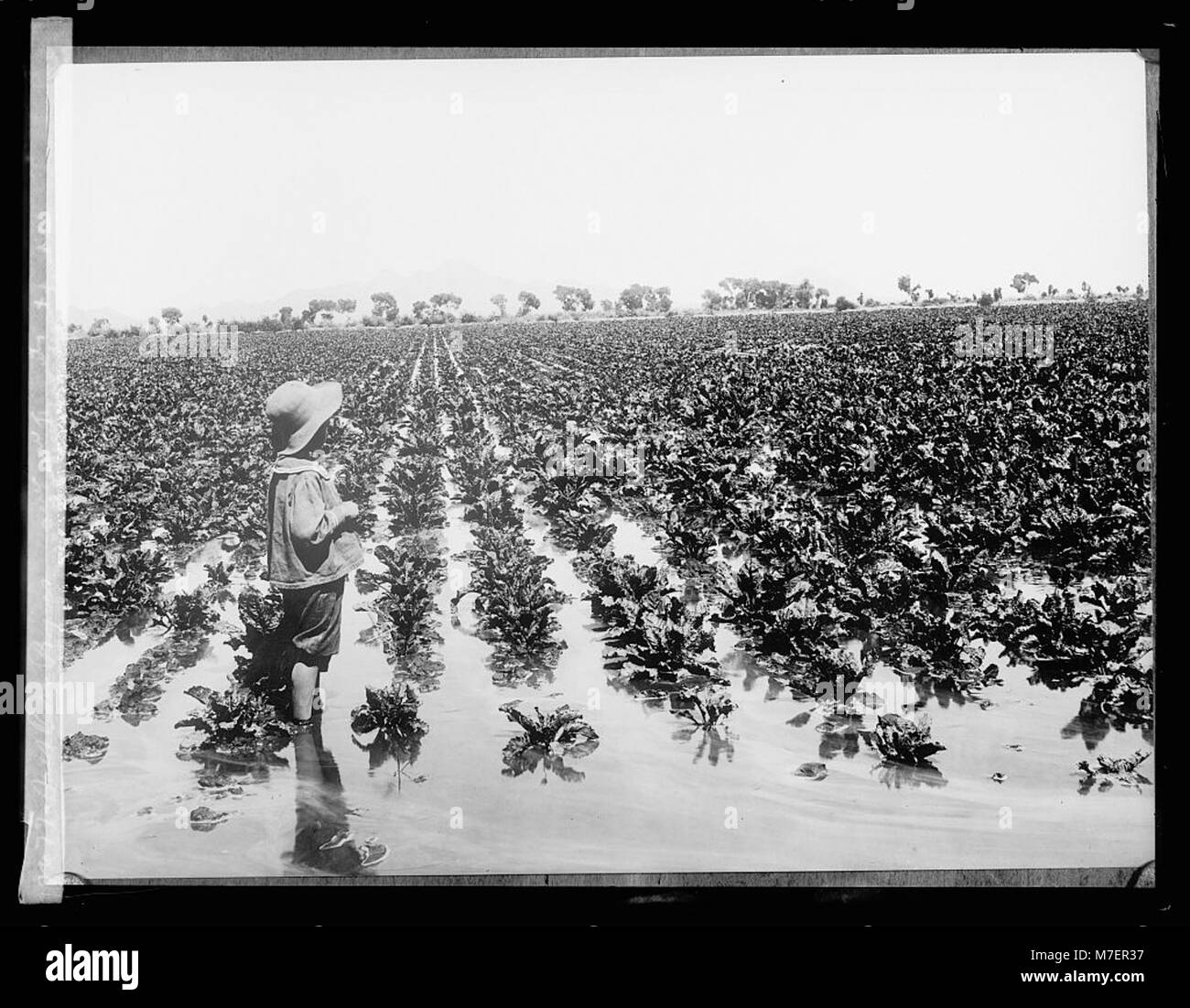 Salt water river on Black and White Stock Photos & Images - Alamy