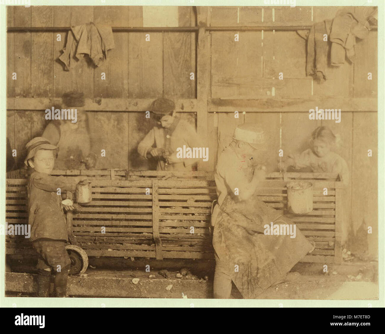 A photograph depicting child labor in a canning factory, showing a 7 ...