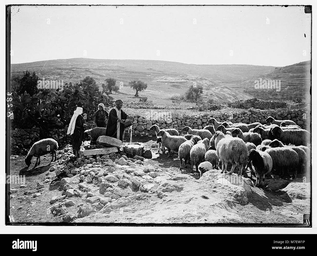 Shepherd symbolism hi-res stock photography and images - Alamy