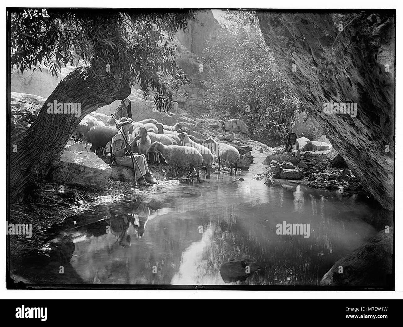 A series of thirteen slides depicting scenes of shepherd life ...