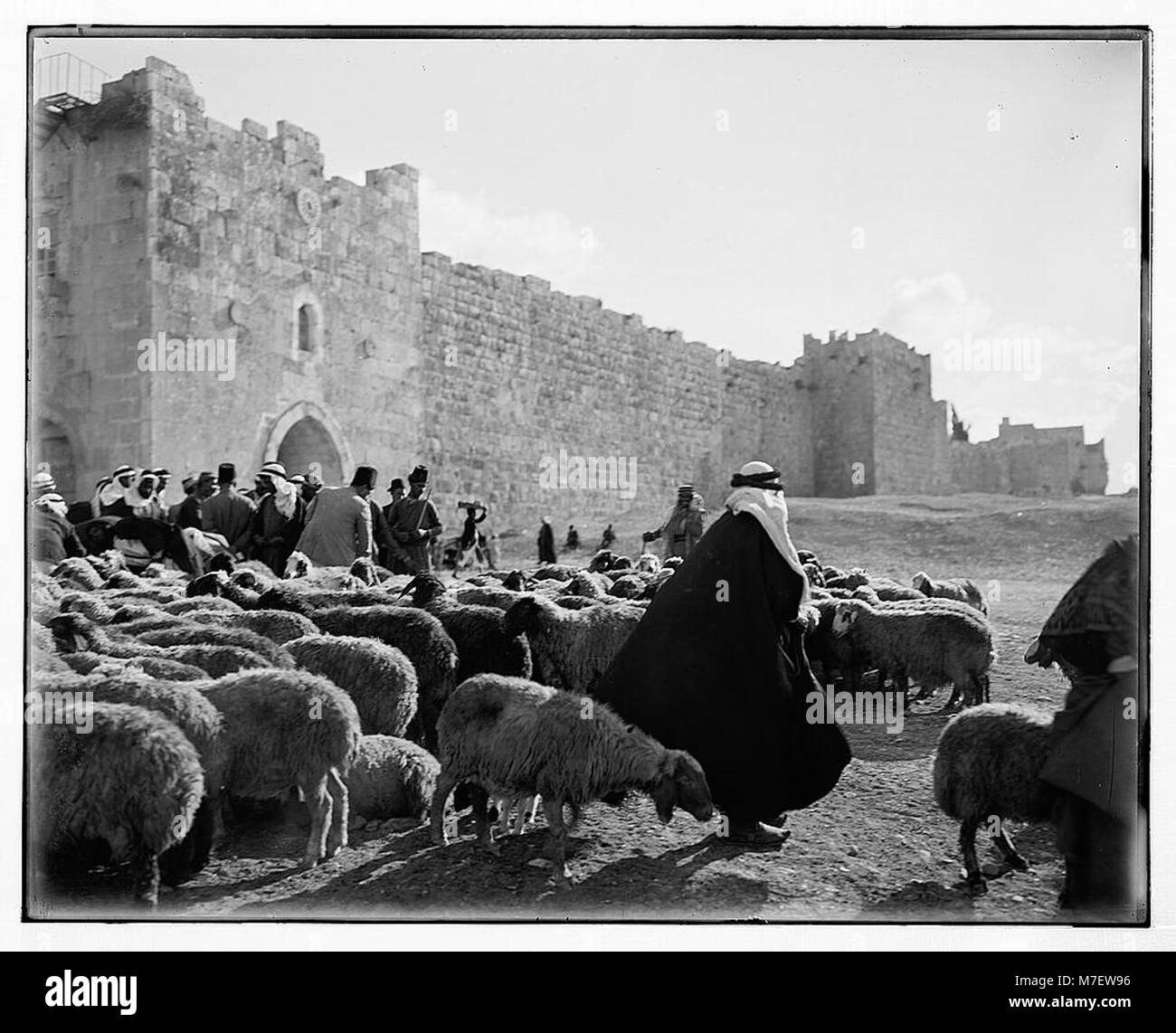 Sheep gate jerusalem hi-res stock photography and images - Alamy