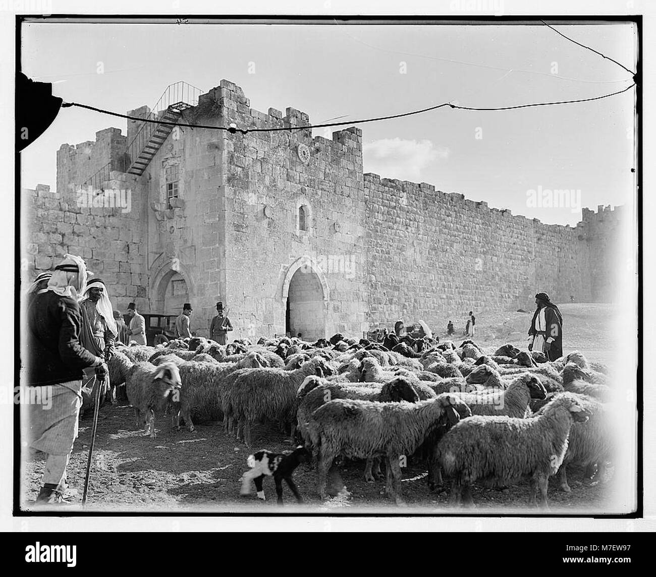 This image depicts a sheep market held outside Herod's Gate in ...