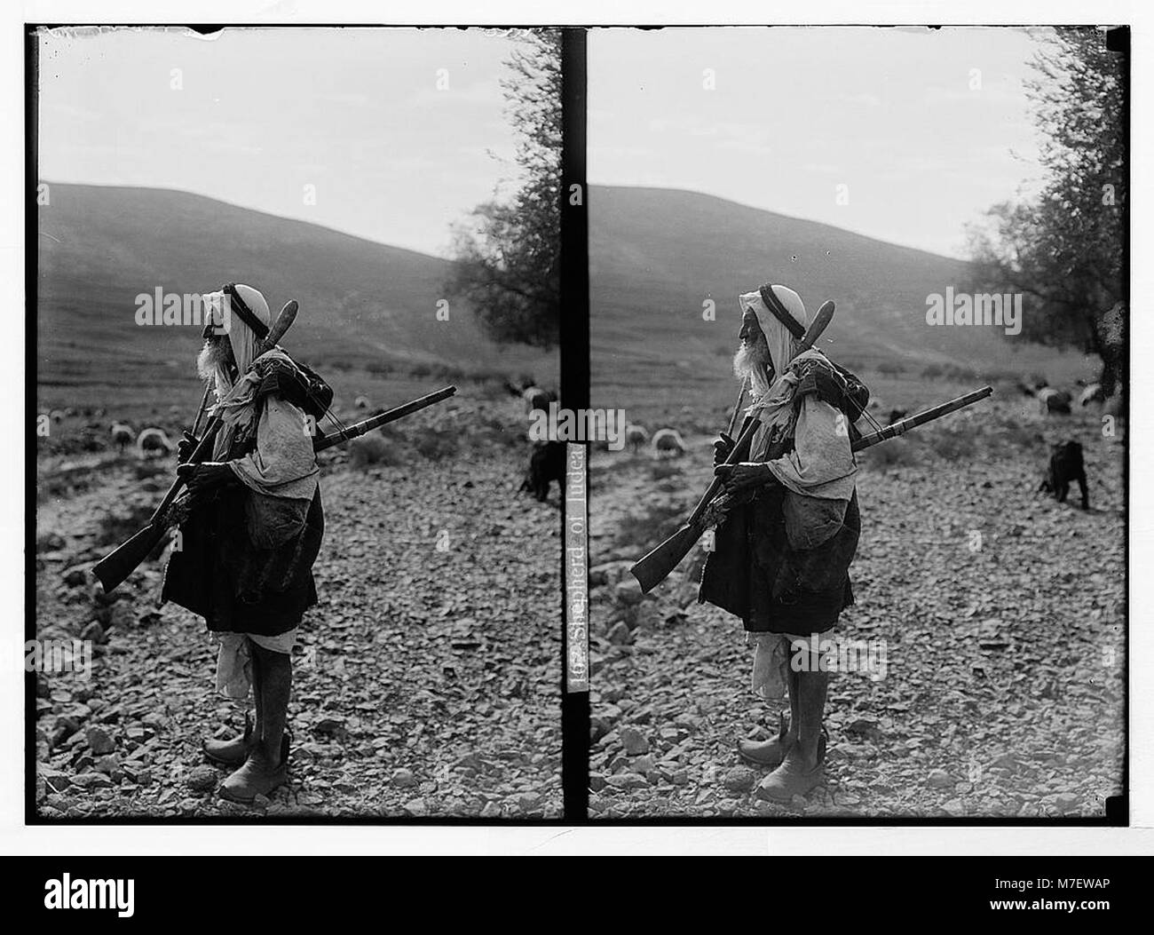 Shepherd in israel Black and White Stock Photos & Images - Alamy