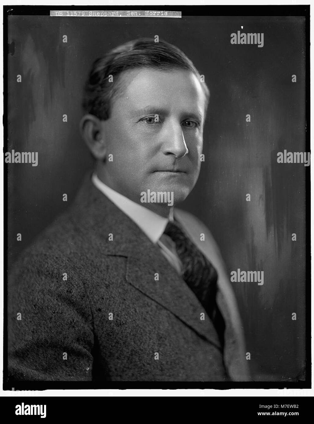 A formal portrait of Morris Sheppard, a U.S. Senator from Texas, known ...
