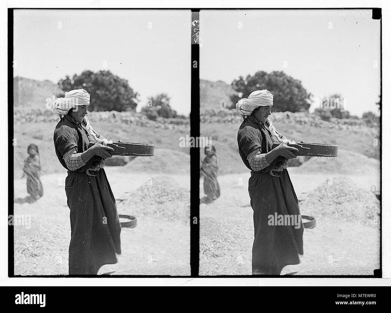 This image depicts the traditional process of sifting wheat, a crucial ...