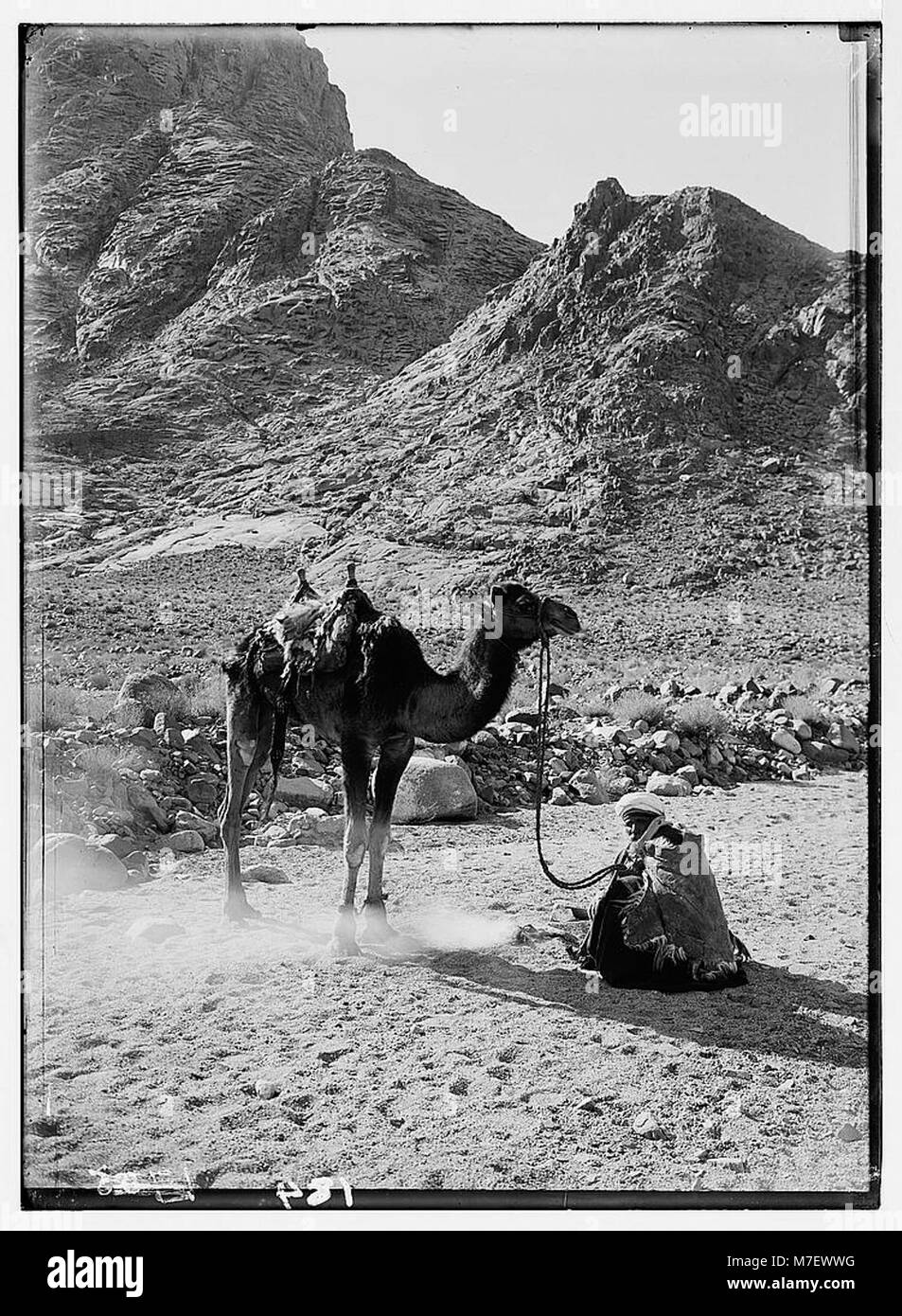 This image shows a camel man in Sinai, with a small fire, capturing the ...