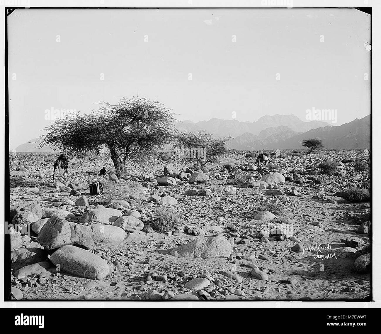 A distant view of Jebel Serbal in the Sinai Peninsula, as seen from the ...