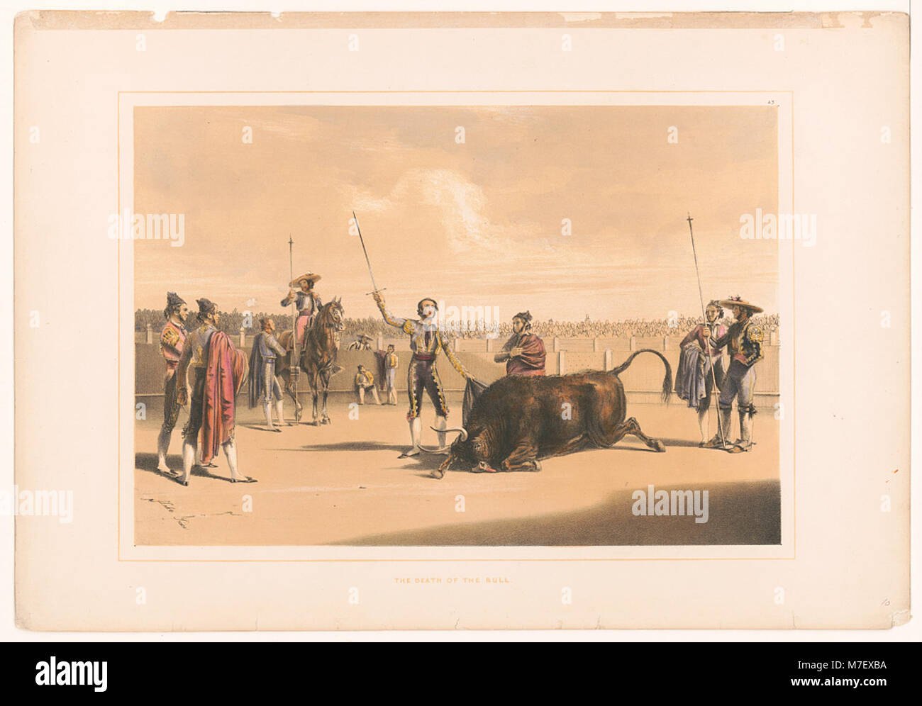 A dramatic scene depicting the death of a bull, likely from a ...