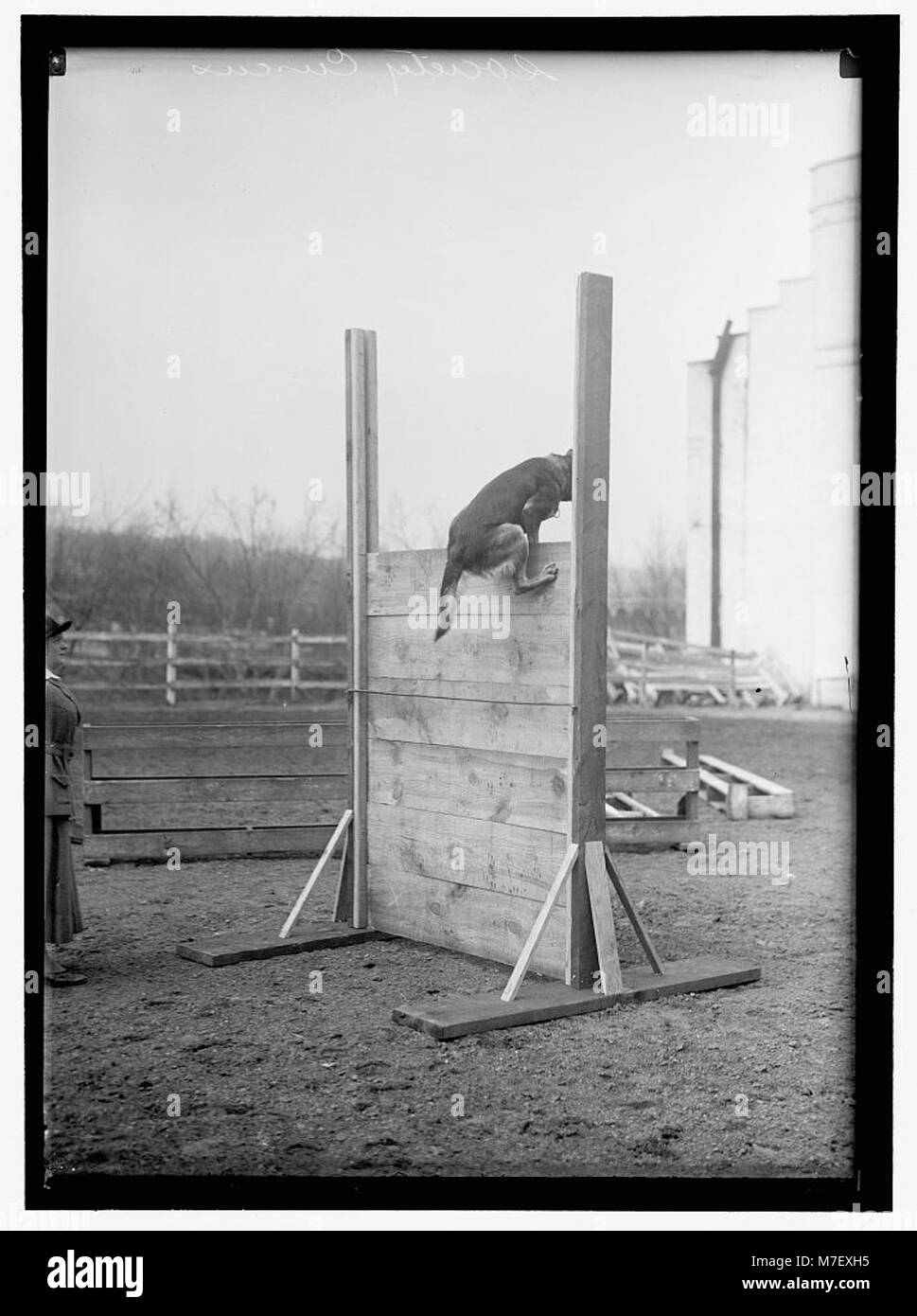 A circus performance for society, showcasing acrobats, clowns, and ...