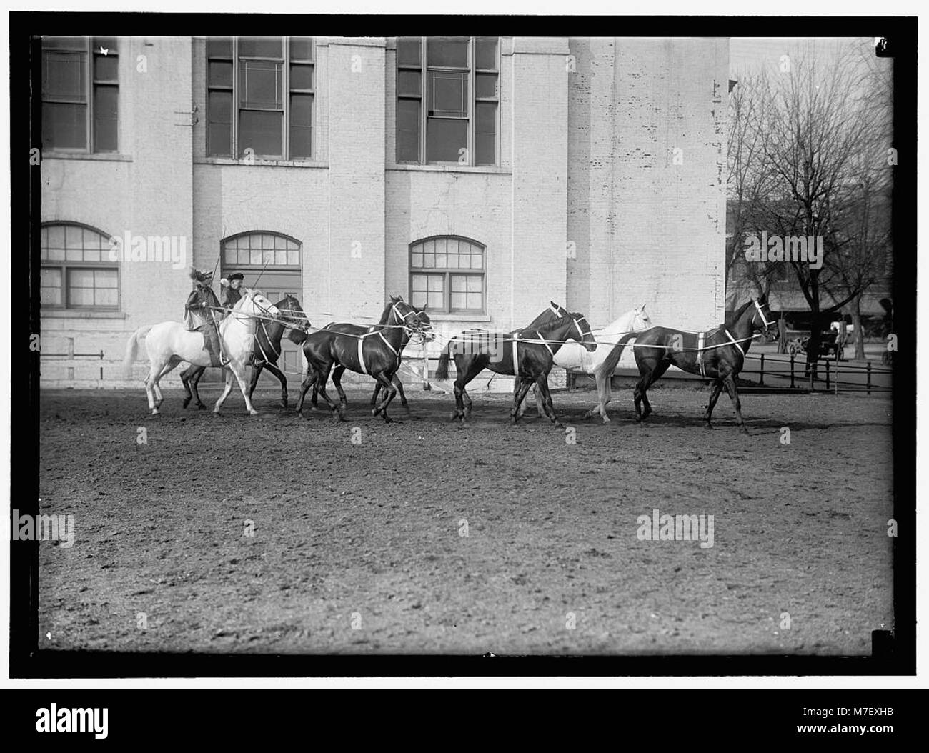 The photograph captures a circus scene, showcasing the variety of ...