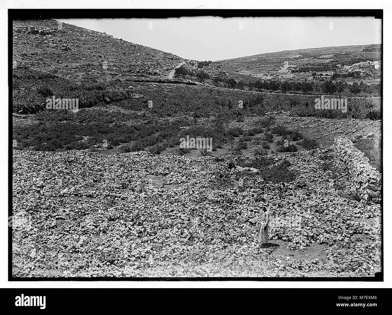 This photograph shows Solomon’s Pools and ancient aqueducts located at ...