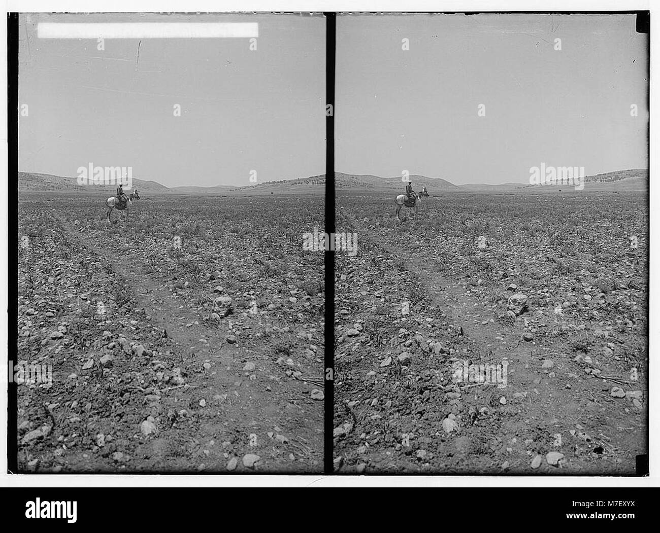 The image offers a panoramic view of the Valley of Elah in Southern ...
