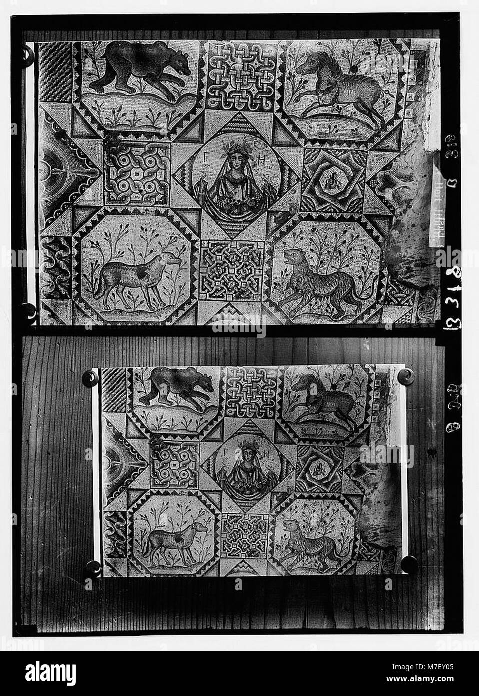 A photograph of the mosaic floor at Beit Jibrin in Southern Palestine ...