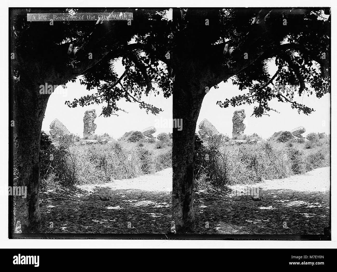 Photograph of the remains of the city wall in Askalon, located in ...