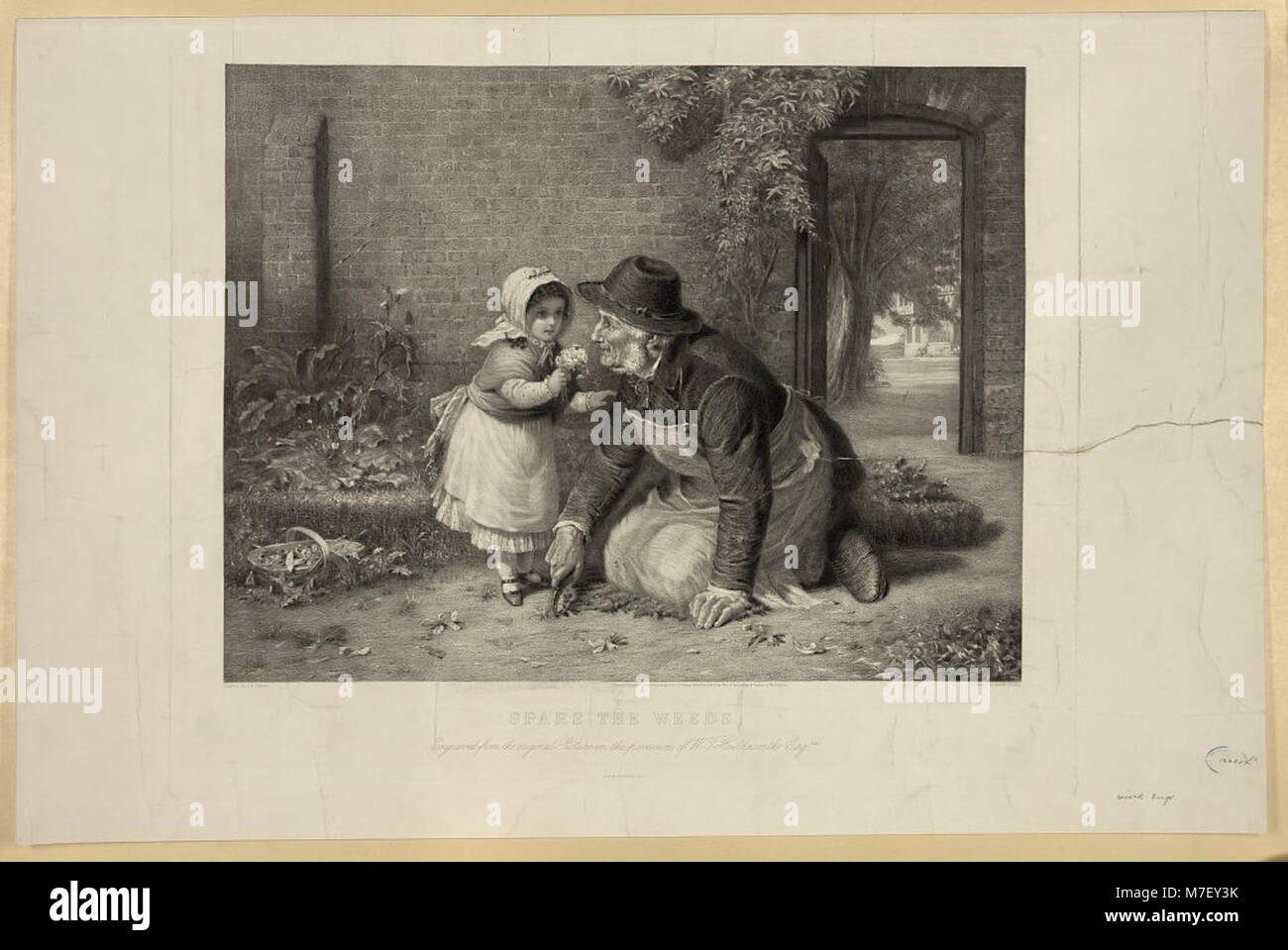 An engraving by Arthur Turrell titled 'Spare the Weeds,' likely ...