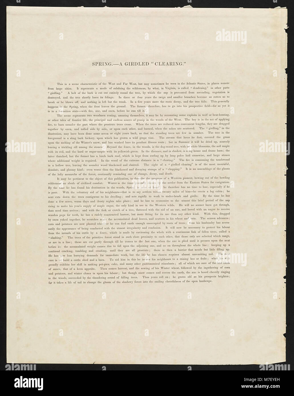 This image depicts a Western landscape during spring, with fallen trees ...