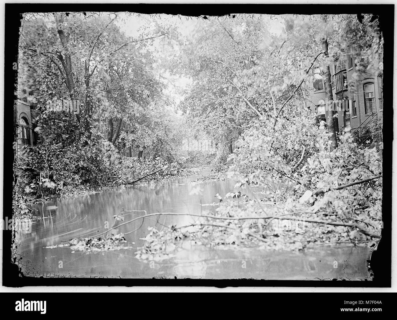 A photograph documenting storm damage, likely showcasing destruction ...