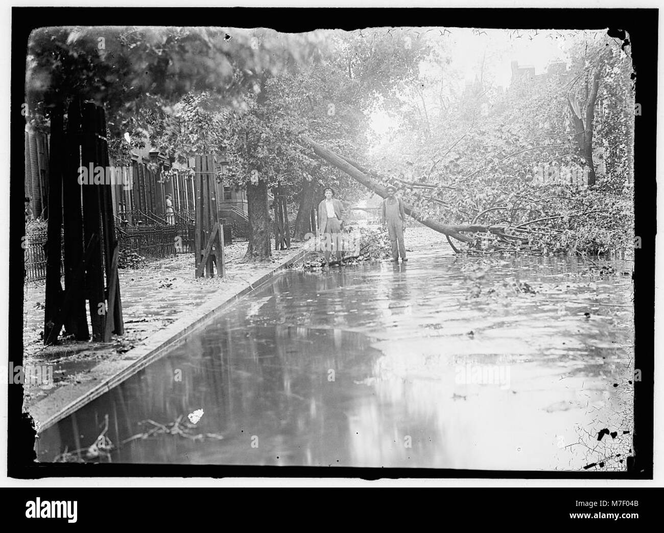 This image depicts the aftermath of a storm, showing the extent of the ...