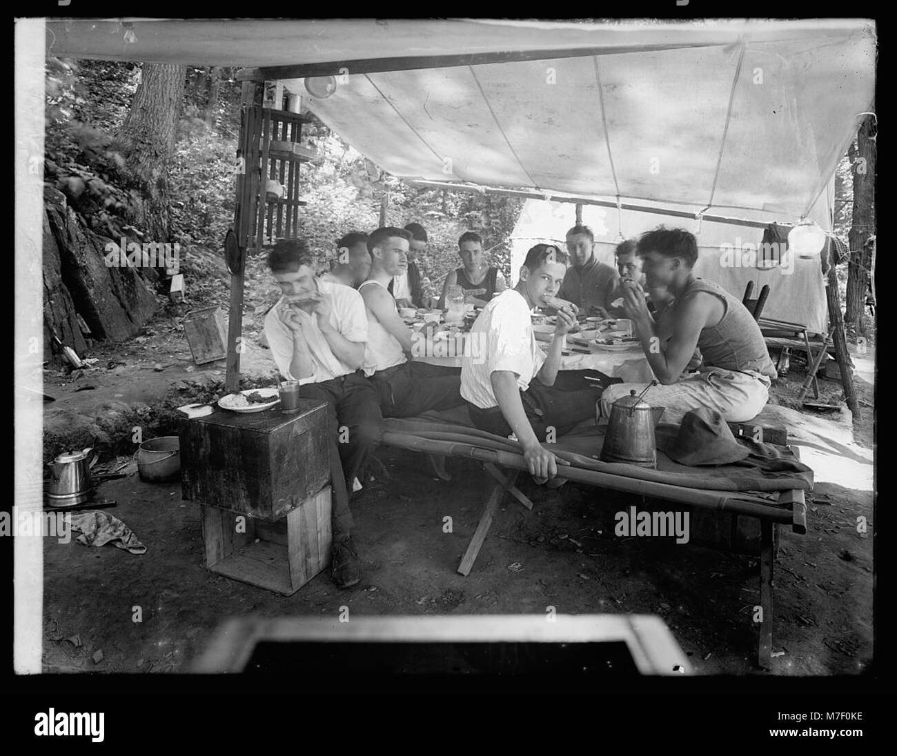 A scene depicting summer camps, showcasing children engaged in outdoor ...
