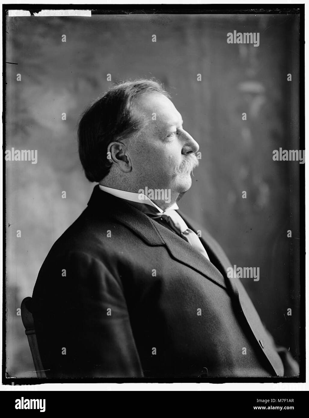 A portrait of William Howard Taft, the 27th president of the United ...