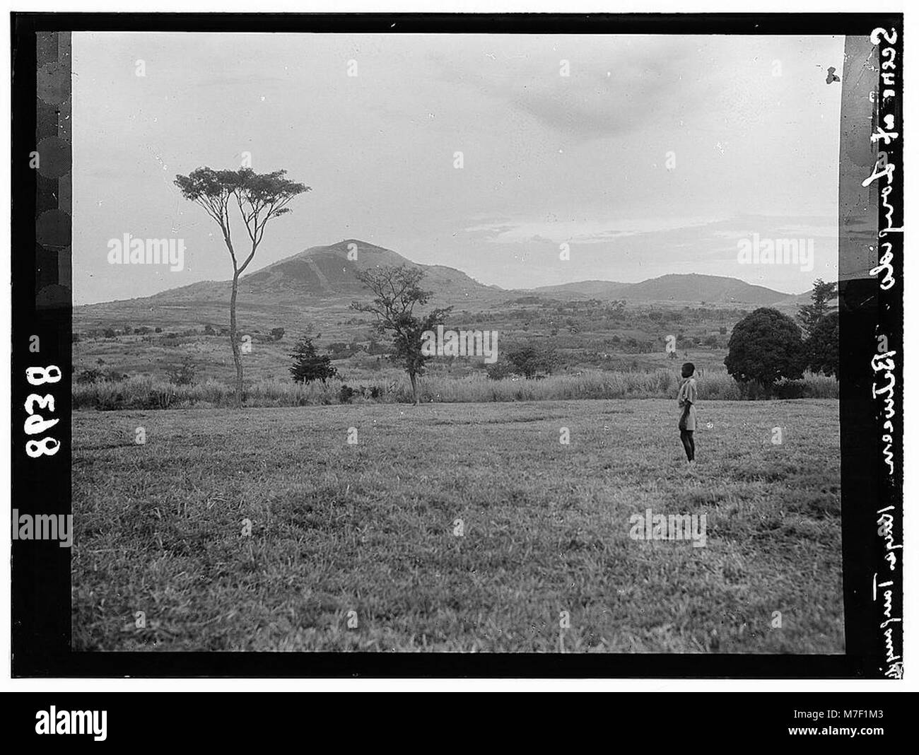 A rural landscape in Tanganyika (modern-day Tanzania) near Longido ...