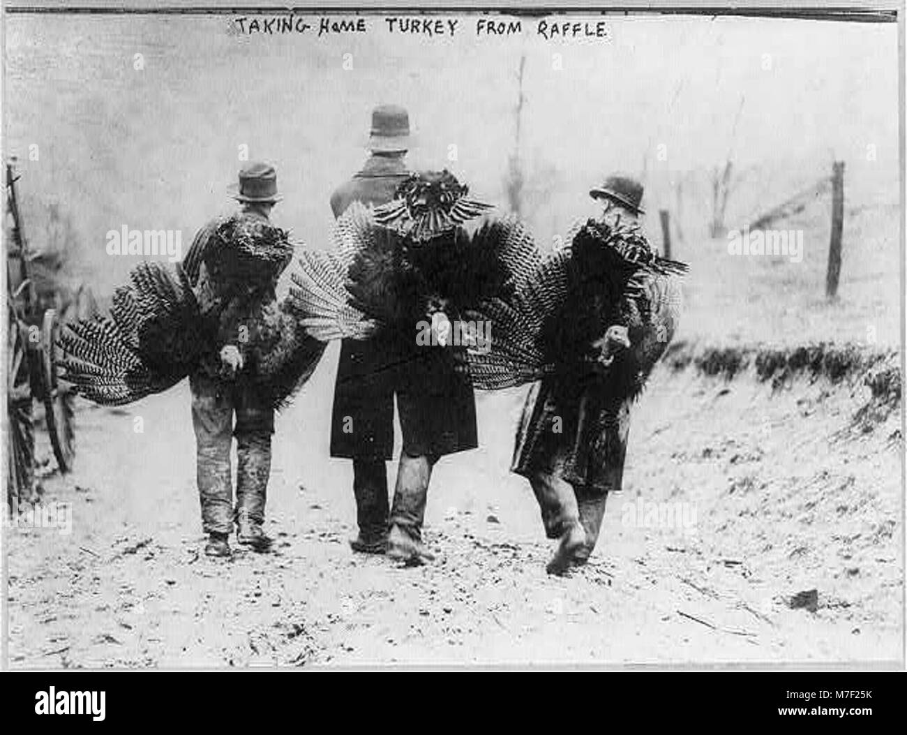 A photograph of people carrying home turkeys won in a Thanksgiving ...