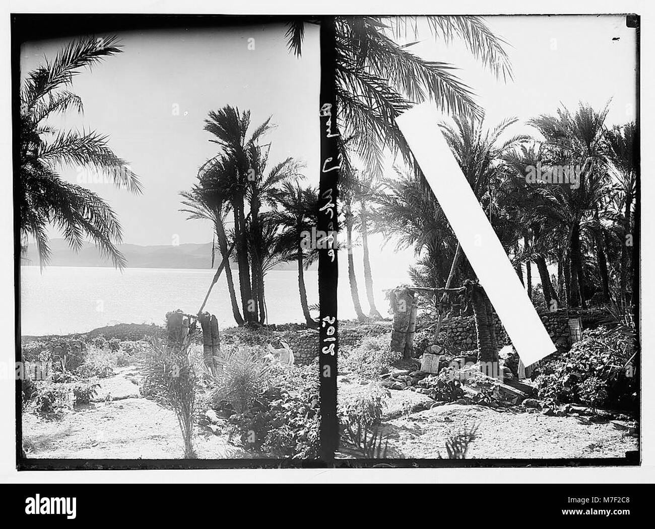 Negeb Stock Photos & Negeb Stock Images - Alamy