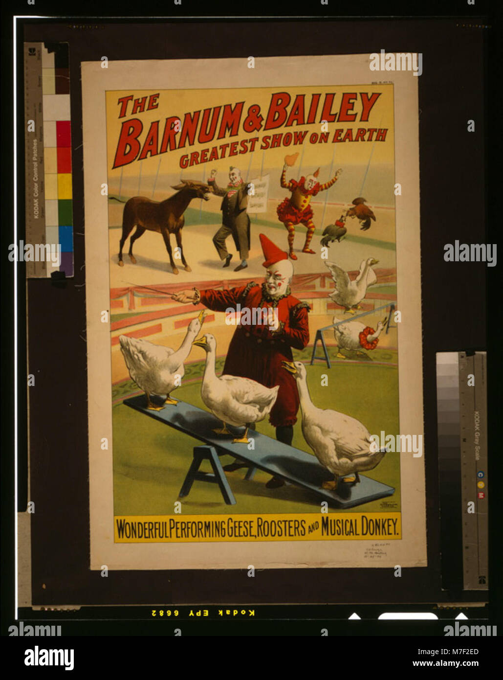 An advertisement for the Barnum & Bailey Circus, showcasing performing ...