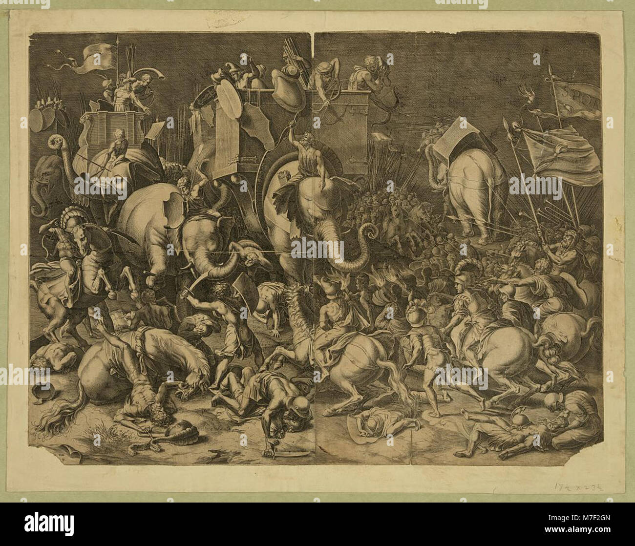 Battle of zama hi-res stock photography and images - Alamy