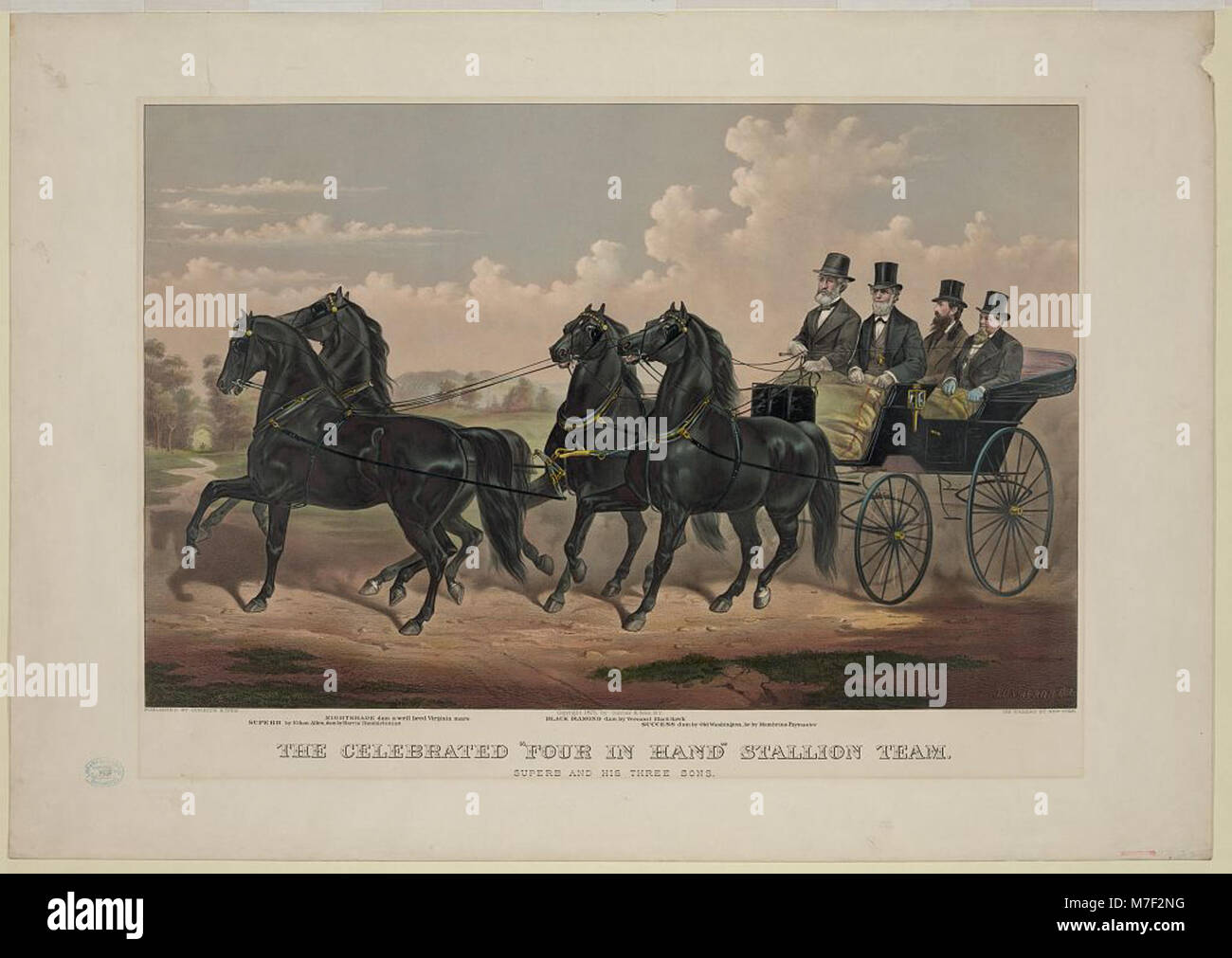 An image of the celebrated 'Four in hand' team of stallions, led by ...