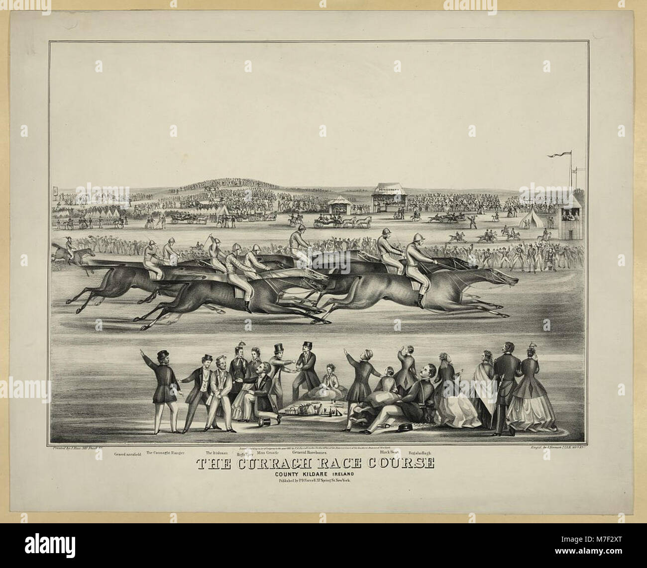 Curragh old ireland hi-res stock photography and images - Alamy