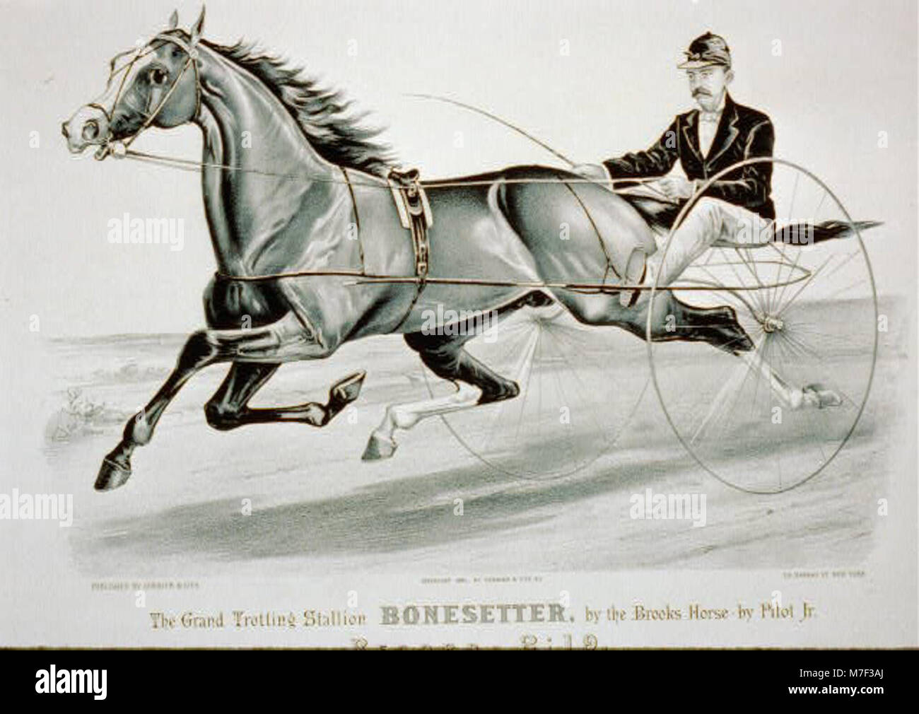 Bonesetter was a renowned trotting stallion, known for his speed and ...