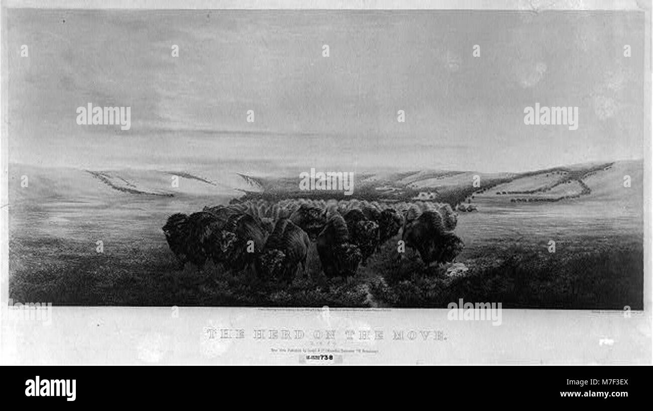 A photograph depicting a herd of animals moving across the landscape ...