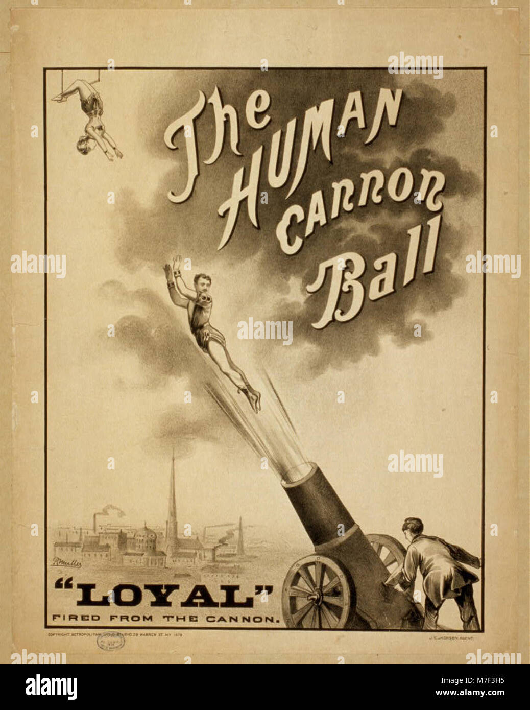 Human canon ball hi-res stock photography and images - Alamy