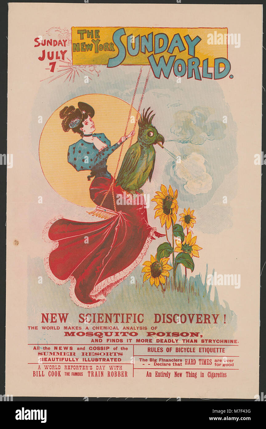 An edition of The New York Sunday World newspaper from July 7 ...