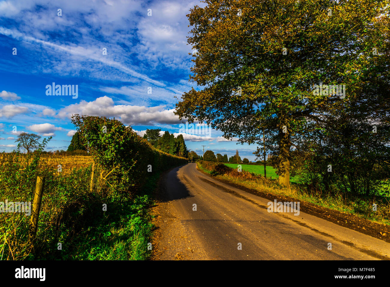 English country road on a sunny day, lush green vegetation, narrow road ...