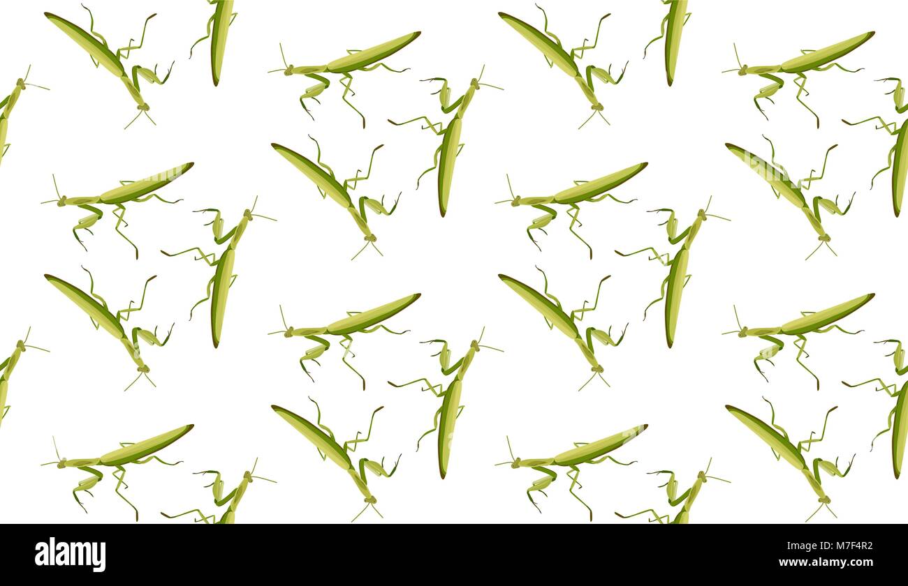 Vector seamless pattern of mantis on white background Stock Vector ...